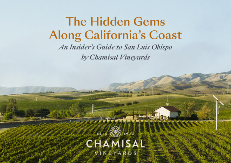 Discover Hidden Gems Along California’s Coast - Chamisal Vineyards